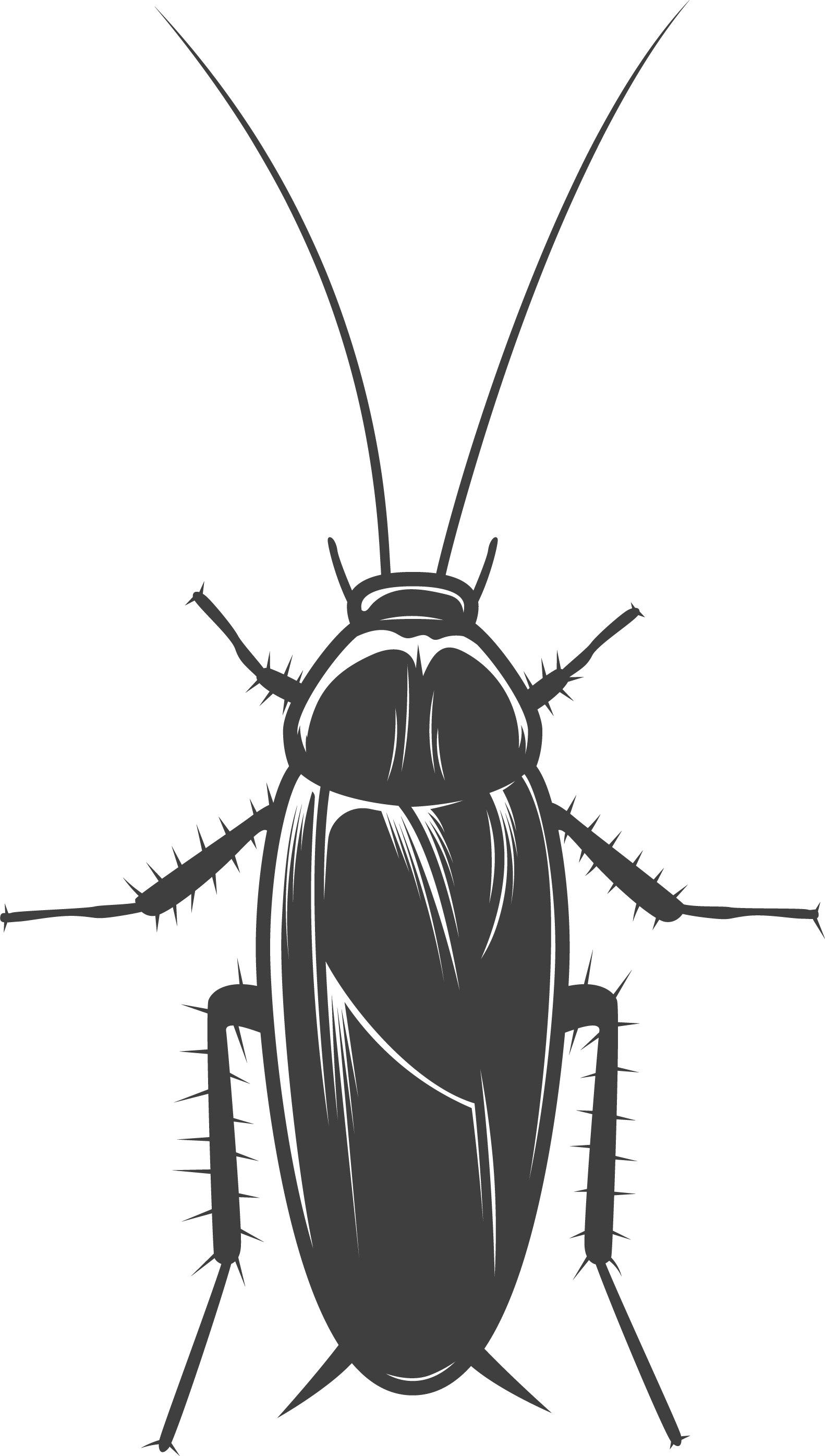 EKO DERATTUS SERVICE NIGERIA – Eco-friendly pest control management